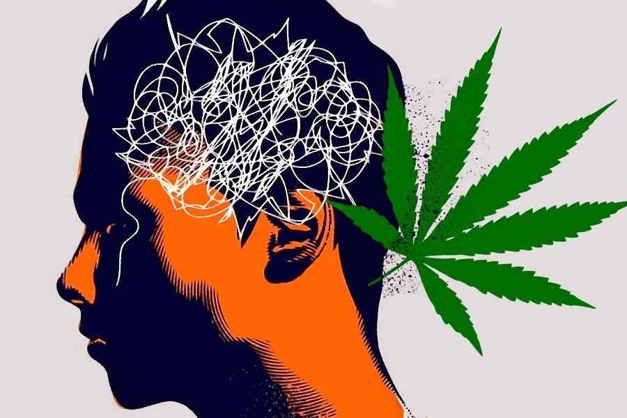 Trastornos Por Consumo De Marihuana Instituto Municipal Para La